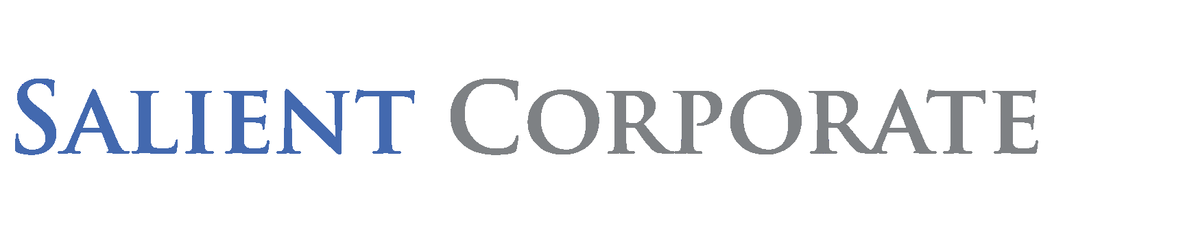 Salient Corporate | Expertise